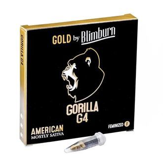 Gorilla Glue 4 | Blimburn Seeds - Zamnesia