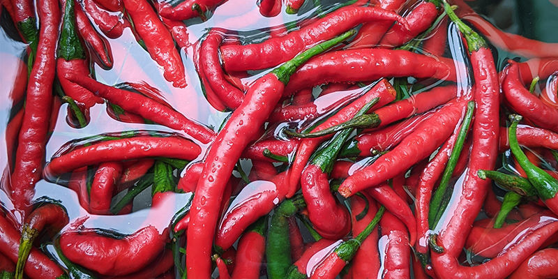 Comment Faire Sécher Les Piments Et Les Piments Doux - Zamnesia Blog