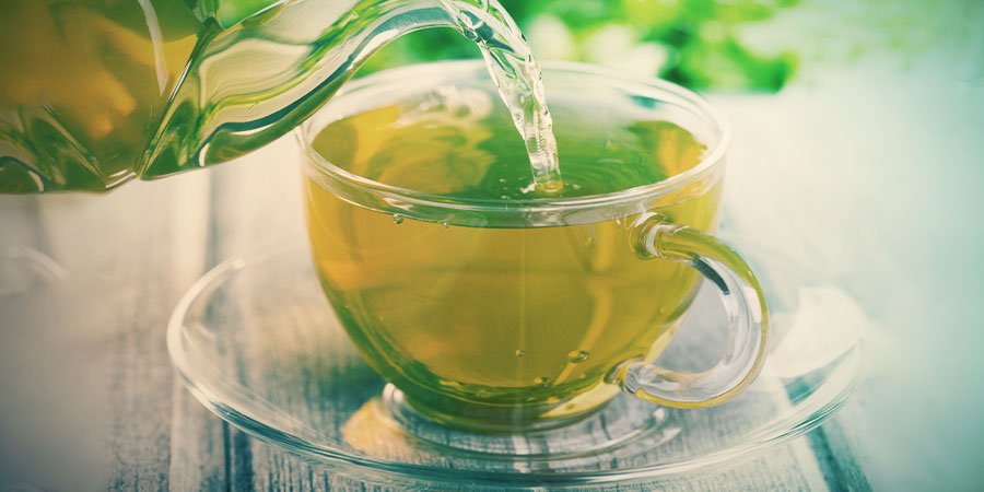 Clavo Huasca: Tout Ce Que Vous Devez Savoir - Zamnesia