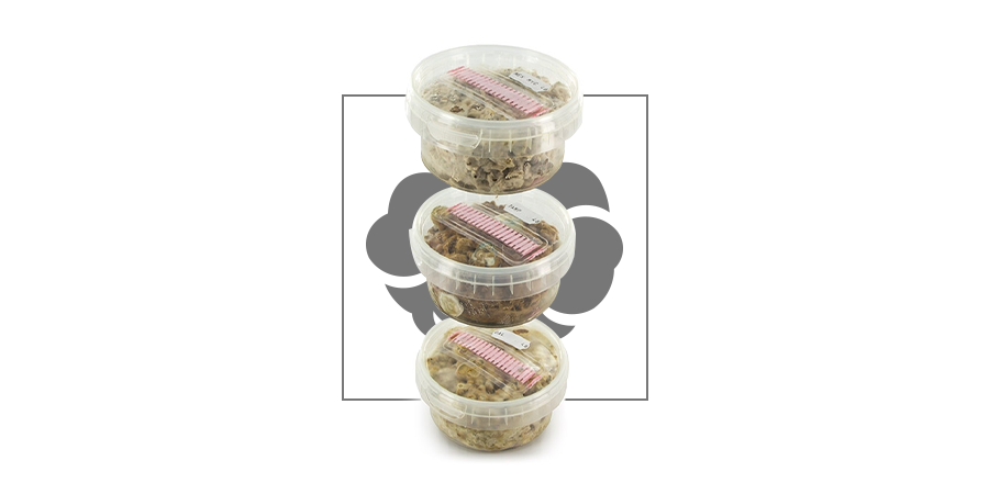 Manuel Kit De Culture De Truffes Magiques - Zamnesia