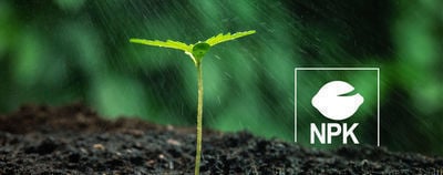 Monster Bud Boost Pack | Bionova | Engrais - Zamnesia